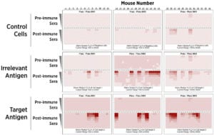 Mouse Sera Evaluation - Intellicyt